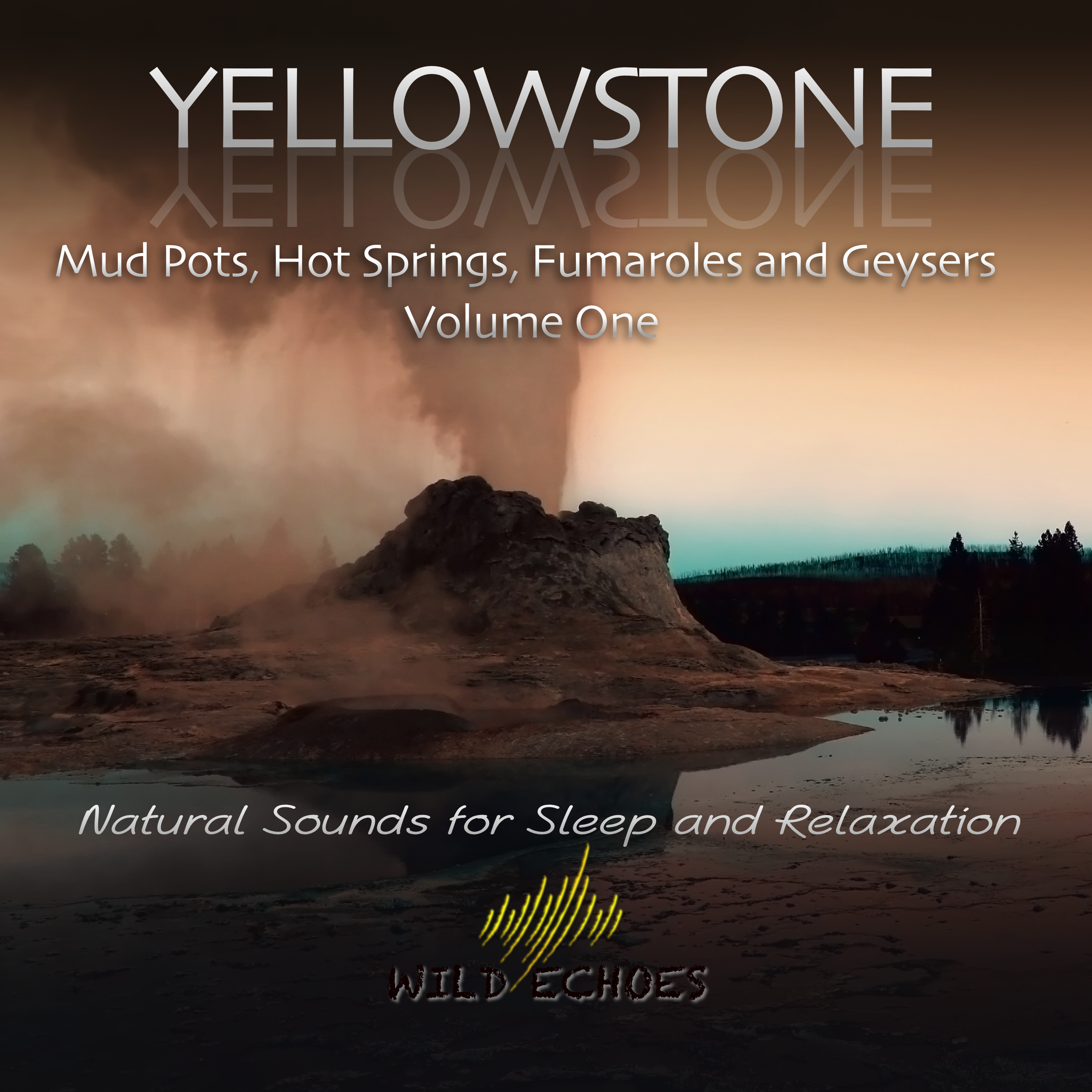 Sonofex's Wild Echoes: Nature Sound, Albums & More